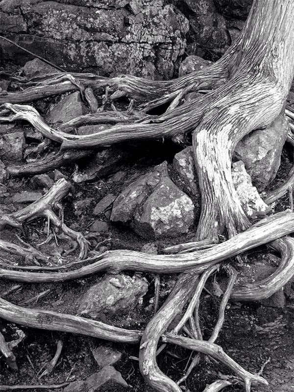 Trample Damage At Falls Livin4today